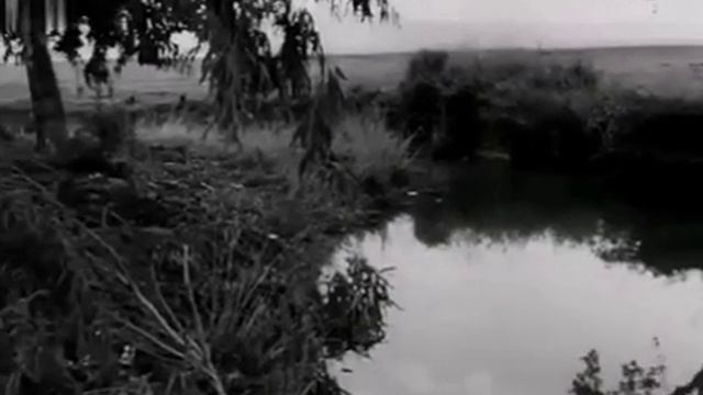 Личная кинохроника солдата Вермахта в Африке 1942 год