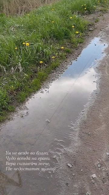 31.05.25 АЗ #ниднябезрифмы