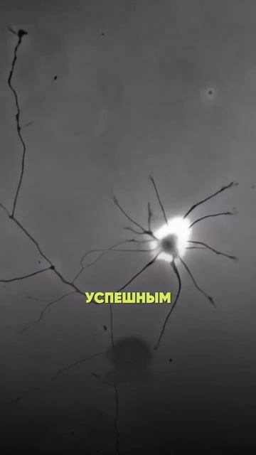 Нейроны-электромагнетизм в нас.