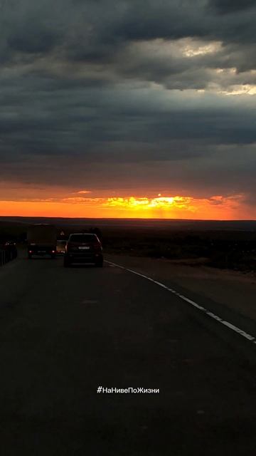 Лето на Ниве