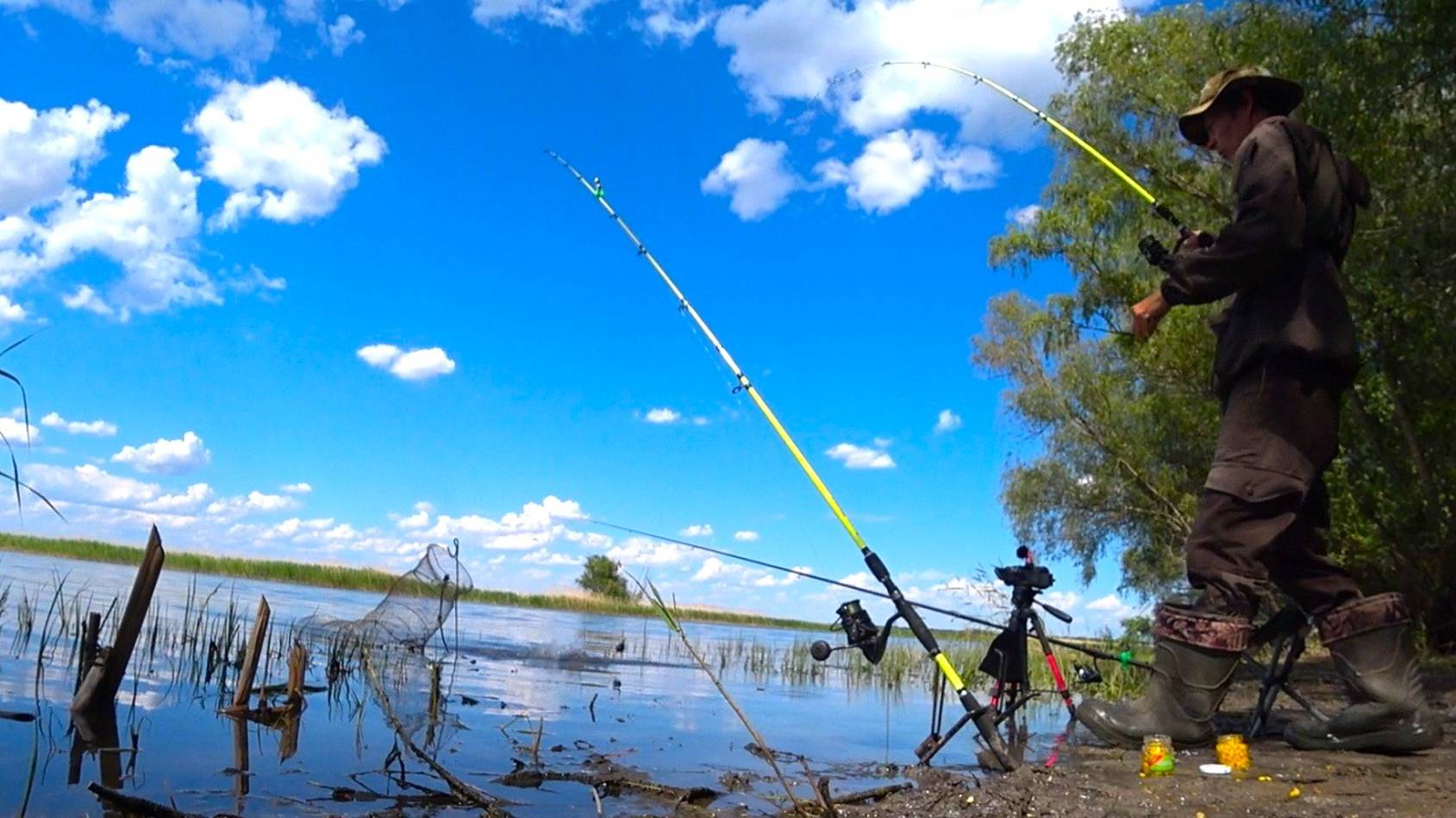 В ДИКИХ ЗАЛИВАХ... ОНО ГНЁТ И ТАЩИТ!! САЗАН КРУПНЫЙ КАРАСЬ - РЫБАЛКА НА ПОПЛАВОК И ПРУЖИНЫ