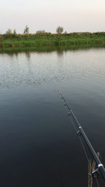 #отдых и #рыбалка #shorts