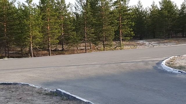 ДОРОЖНЫЕ ИСТОРИИ