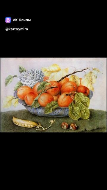 Художник Джованна Гарцони (Giovanna Garzoni)