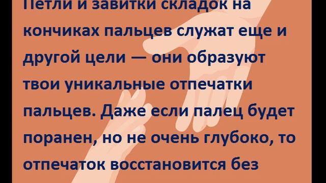 "Наши восхитительные руки"