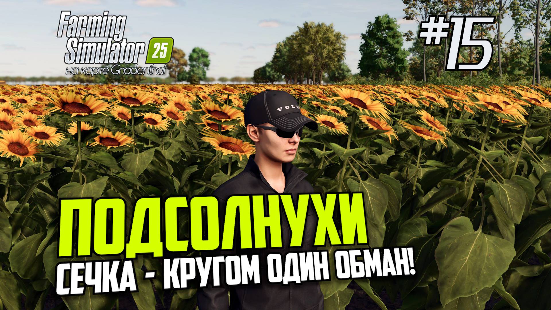 FS15[1/2]: Farming Simulator 25 - Подсолнухи. Сечка - сплошной обман! (s0ver стримит)