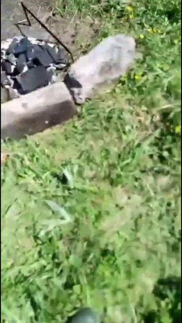 🌊🐟🎣 👍🤪