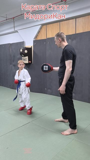 Каратэ Спорт МидориКан