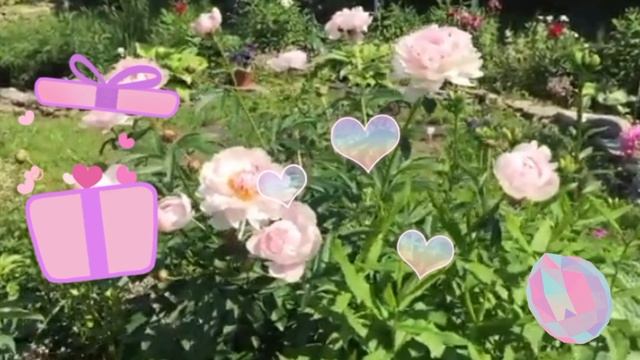 С днём рождения, милая!