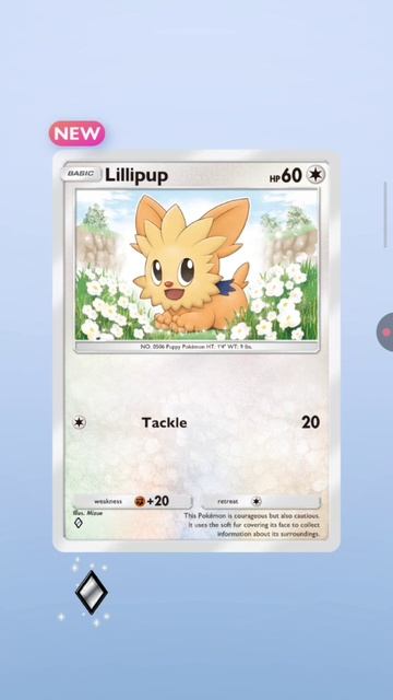 Новый Бустер |  Pokemon TCG