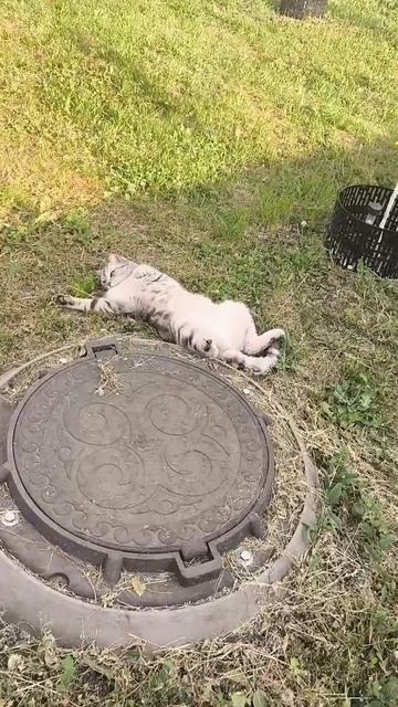 прораб утомился