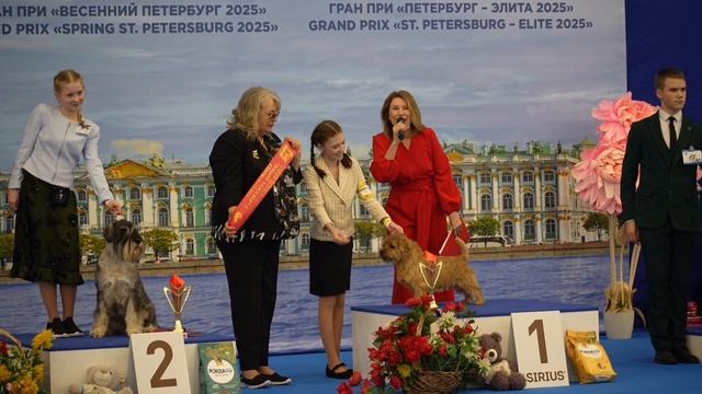 1000011986.mp4.Юные Хендлеры.Город собак.Экспофорум.Санкт-Петербург.2025.