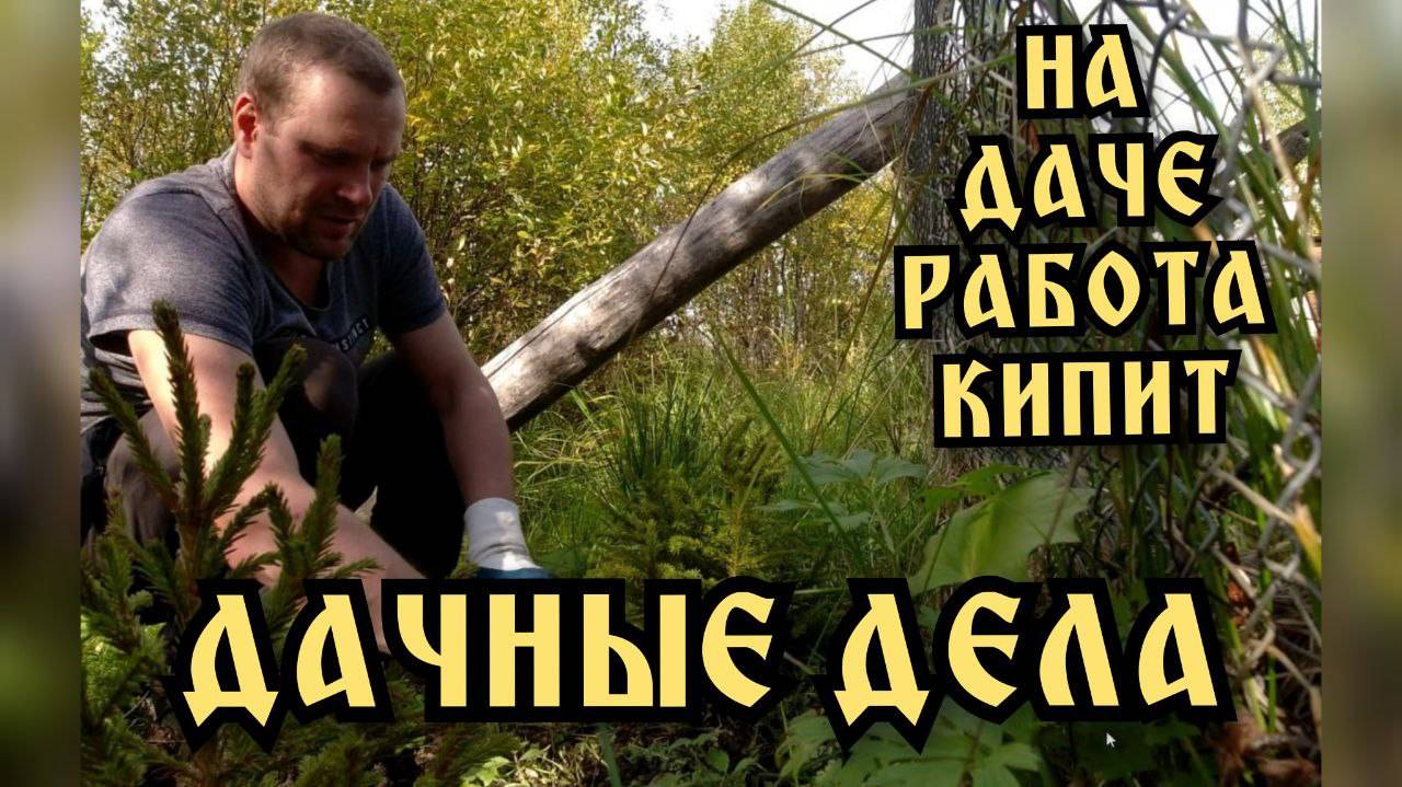 На даче. Работа кипит. Очень много дел. 2 ЧАСТЬ