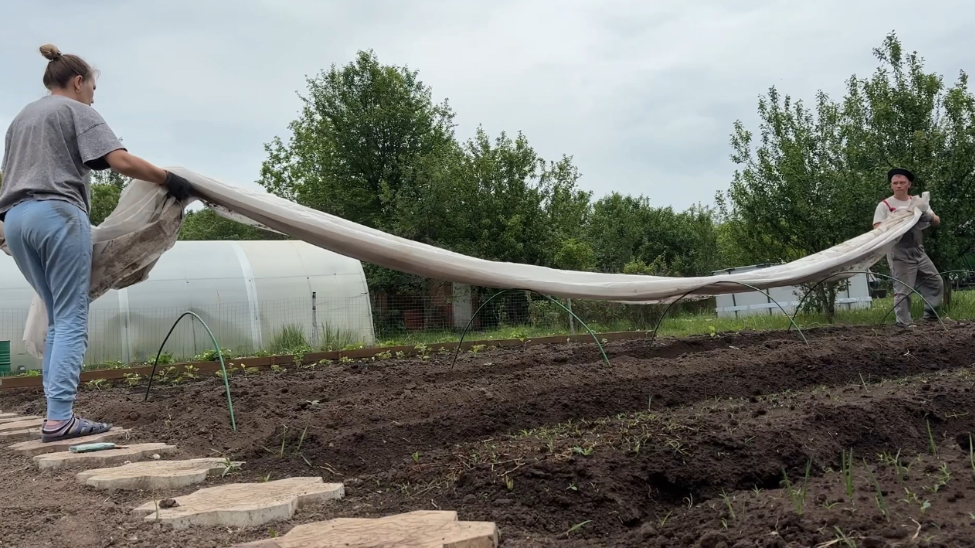 ДАЧА 30.05.25 ПОСАДИЛИ ОГУРЦЫ