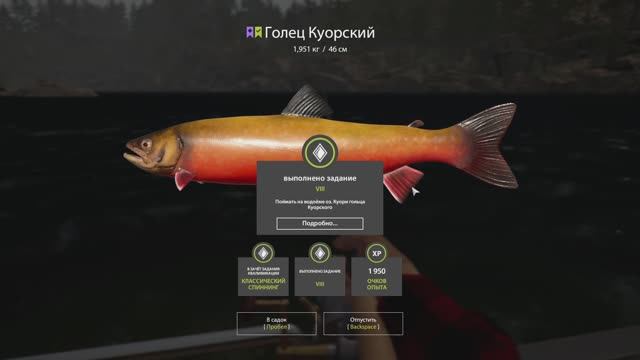 Русская Рыбалка 4-Задание: Голец Куорский оз. Куори