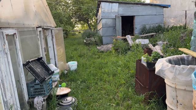 Уехали из СПБ и сразу в деревню на работы)) 30-31 мая 2025