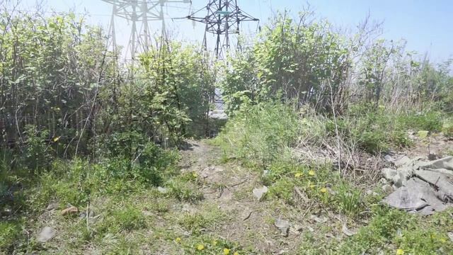 Сопка Комарова-1