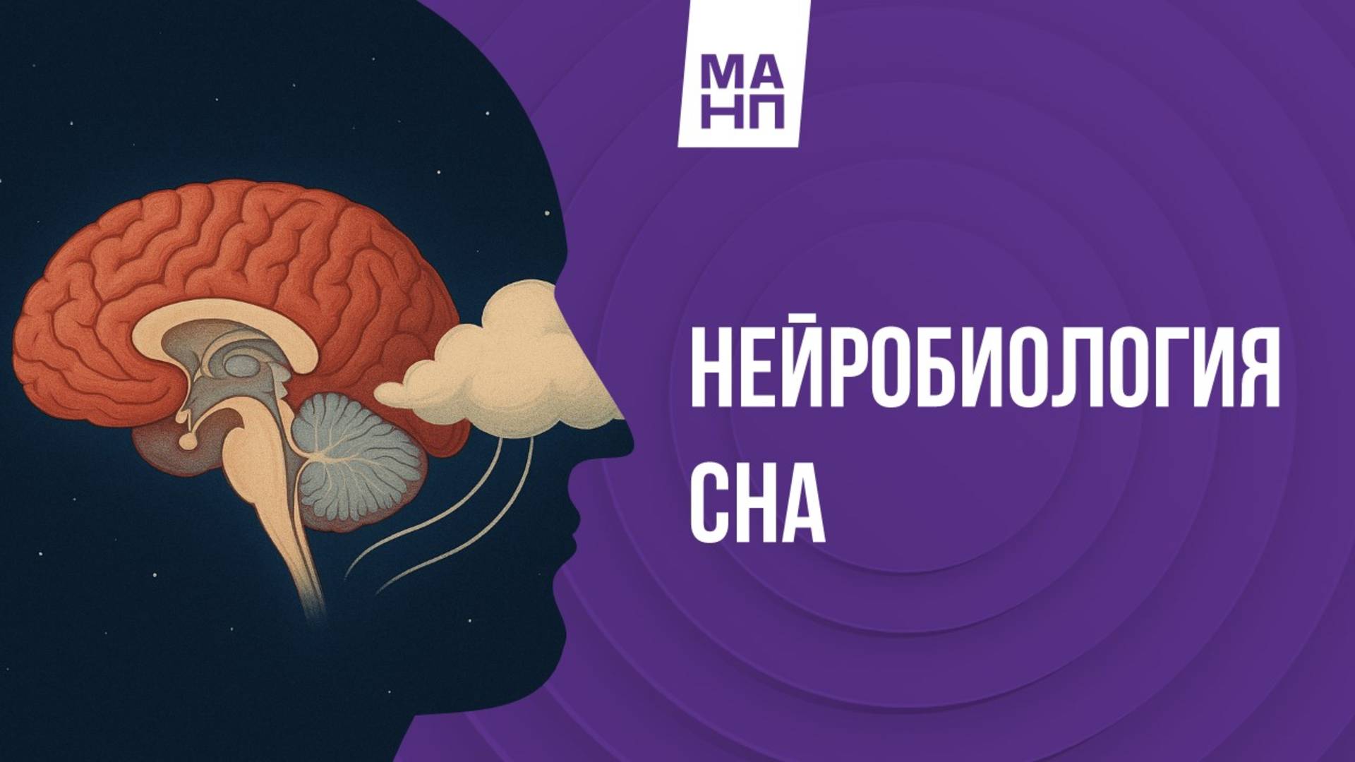 Нейробиология сна.