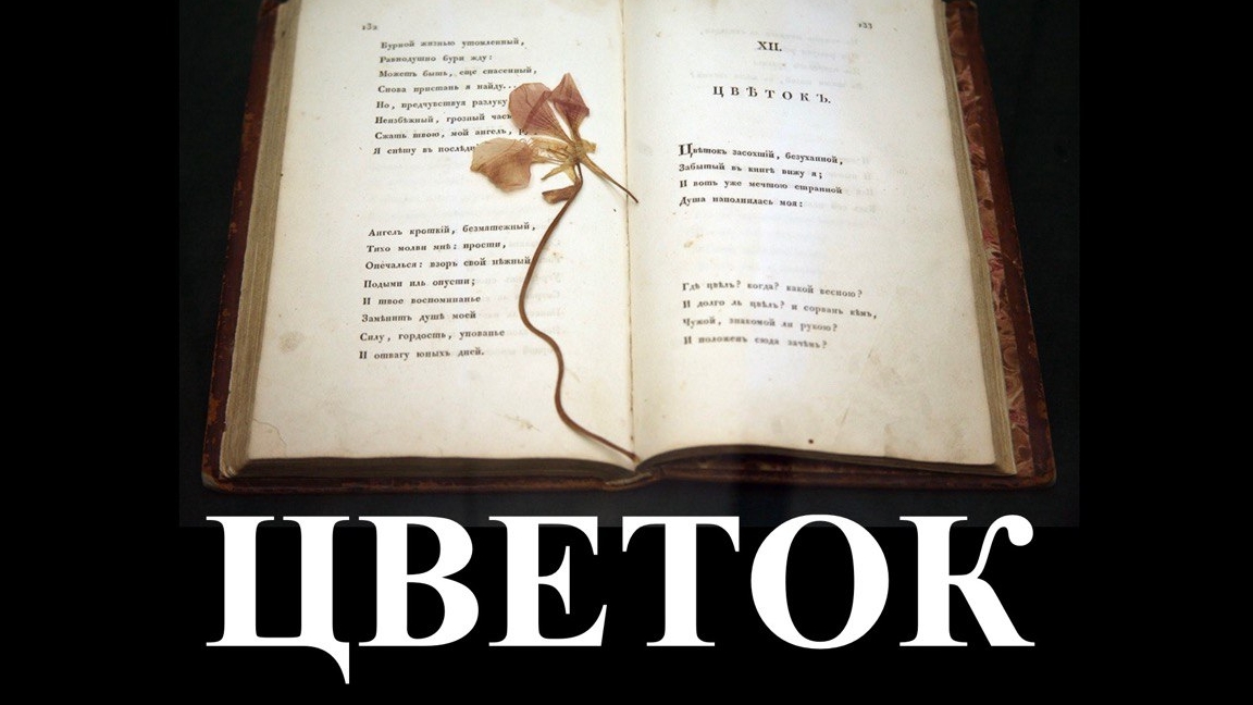 Александр Пушкин  «Цветок»  -  читает Александр Грин