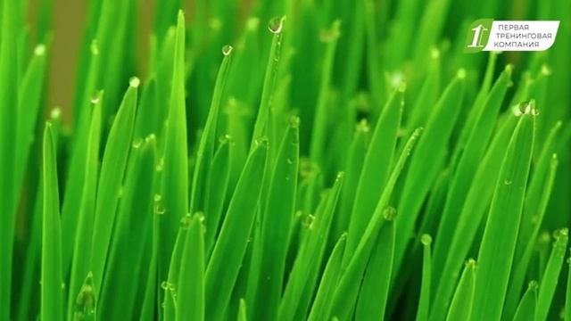 Жизненный ресурс часть 2 - психическая устойчивость - Медитация «Жизнь горы»