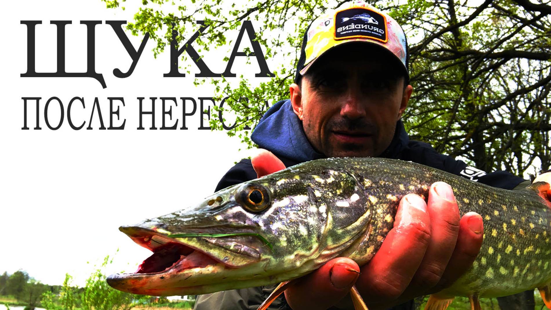 ЩУКА ПОСЛЕ ЗАПРЕТА. РЫБАЛКА В КОРЯЖНИКЕ, ПОВЕДЕНИЕ ЩУКИ УТРОМ И ВЕЧЕРОМ, О ВОБЛЕРАХ И ПРОВОДКАХ.