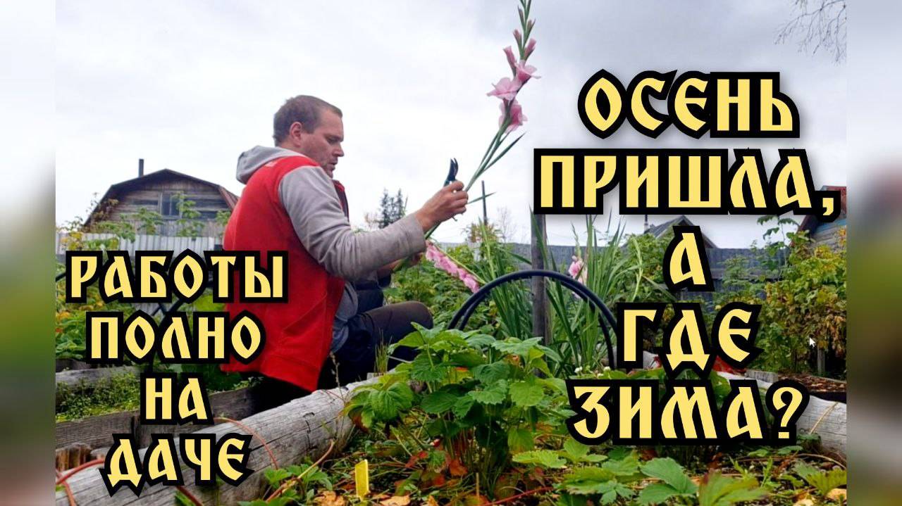 Осень на даче. Осенние работы на даче. Дачные выходные.