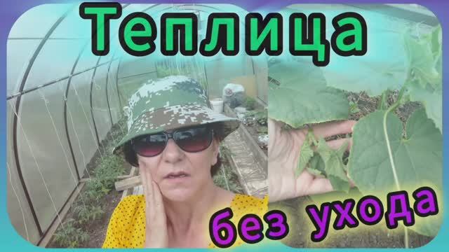 Теплица! 🤔Формирование огурцов! 🥒🥒🥒