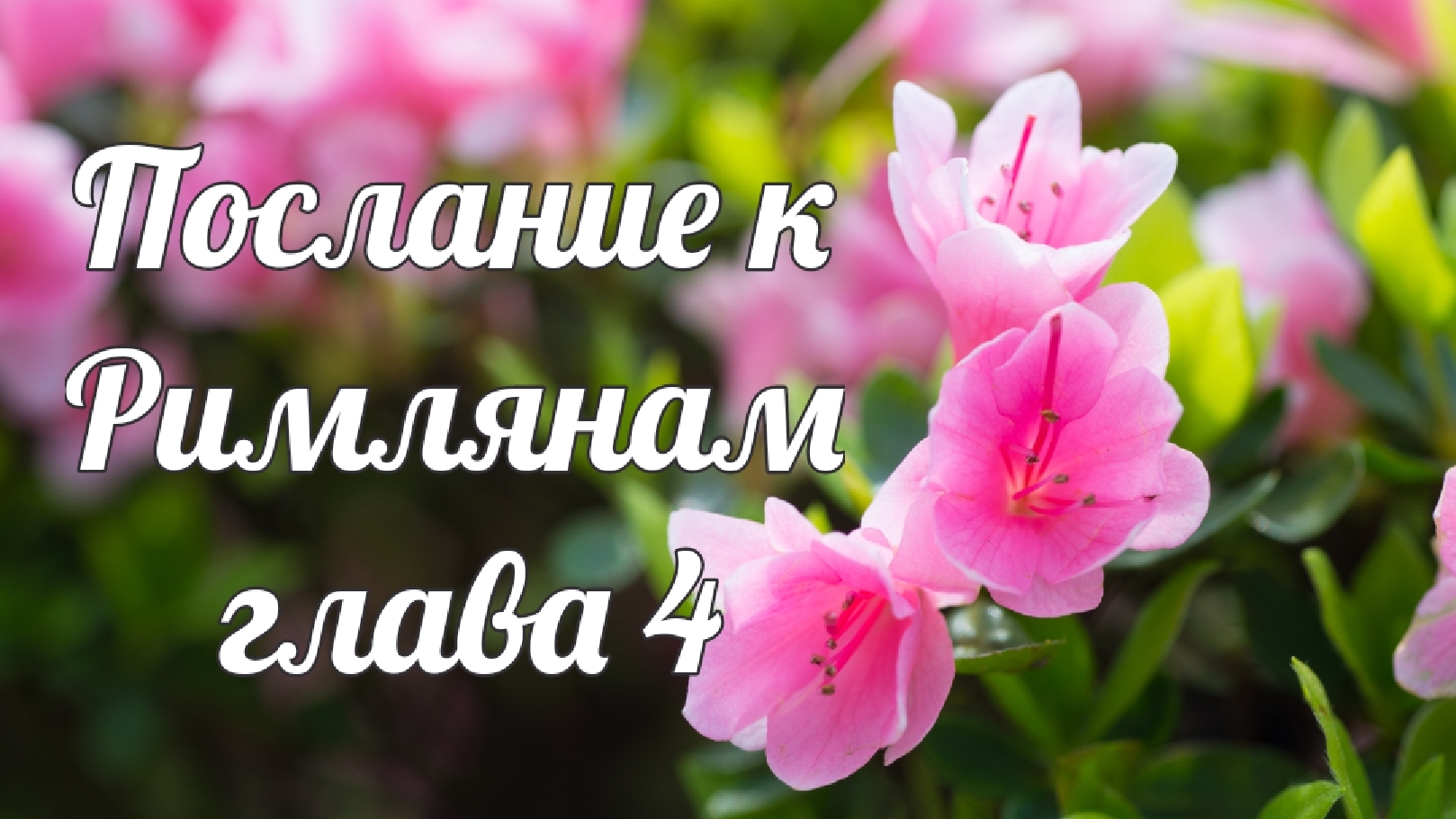 Послание к Римлянам глава 4