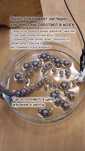 Нейроны-в Физике.