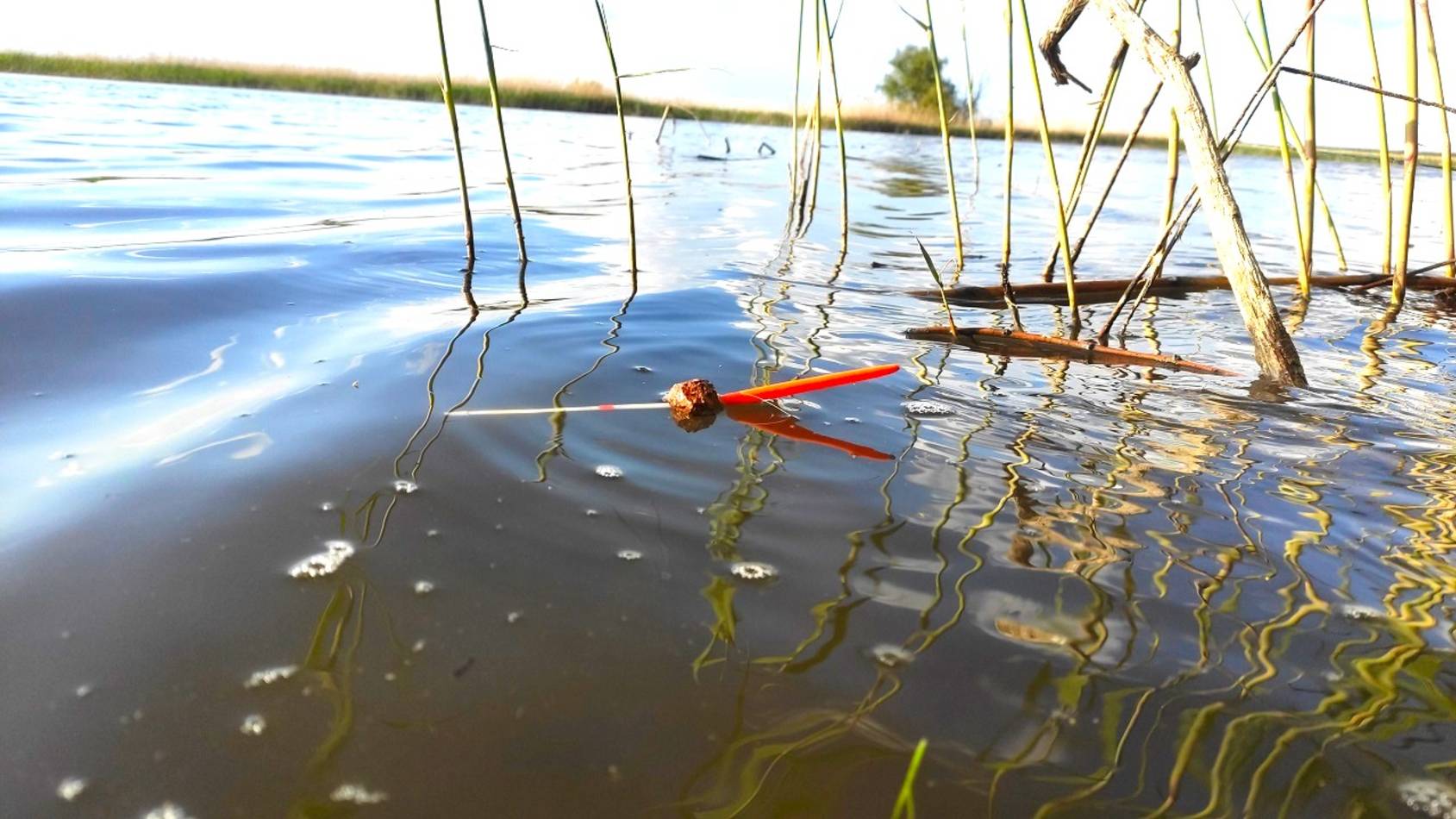 БИТВА С ЧУДИЩЕМ - КРУПНЫЙ САЗАН НА ПОПЛАВОК!! И ЕЩЁ, ЕЩЁ... Рыбалка на удочку в малой реке