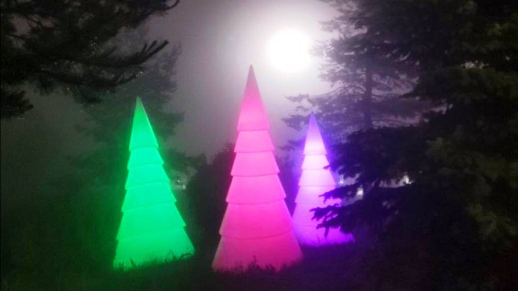 ЭТОТ бот может