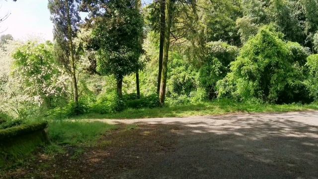 Абхазия 2025. Дача Сталина И.В.