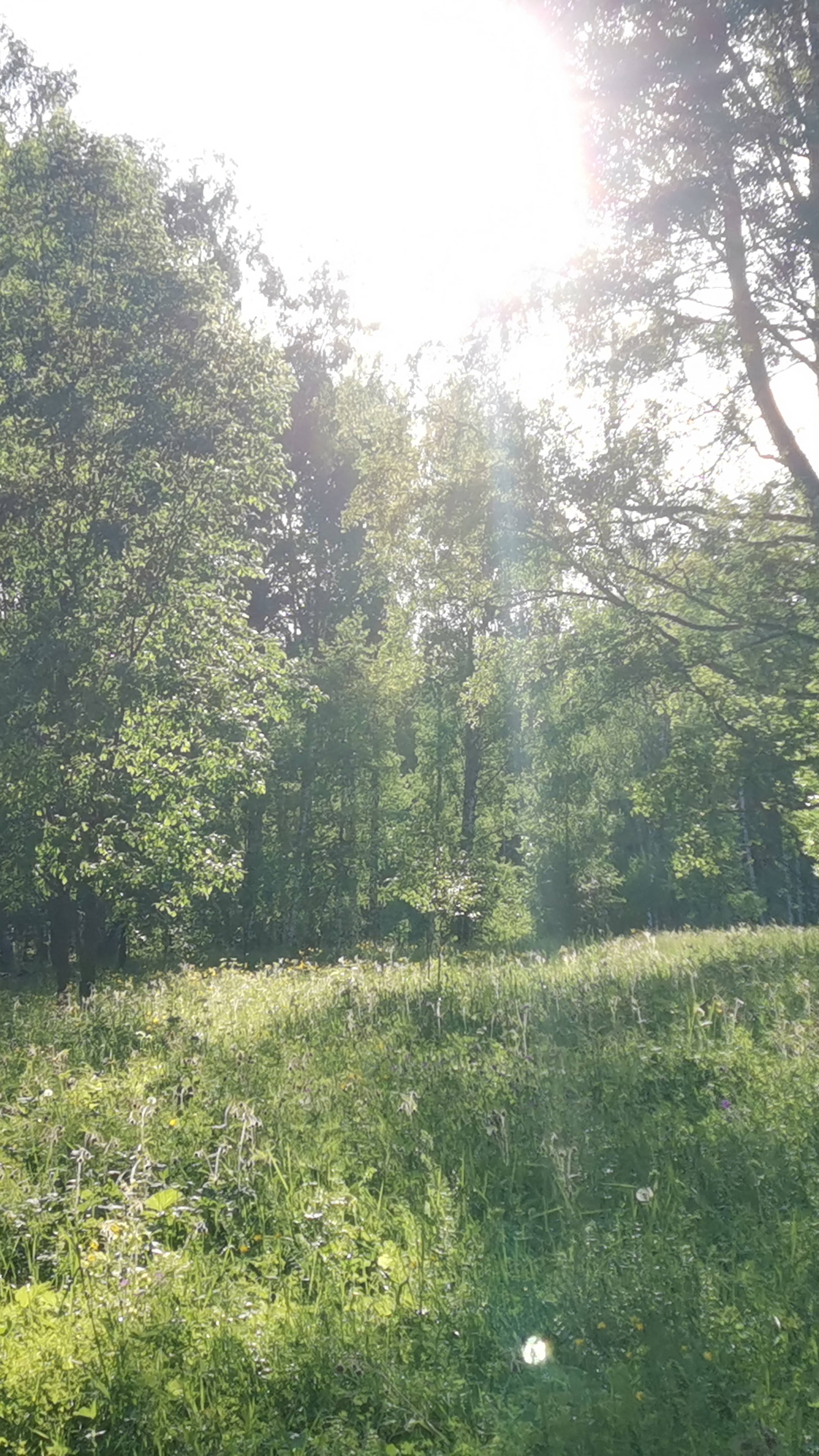 Ну, красота же!