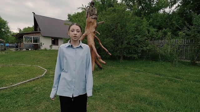 Костенки: Капсула времени