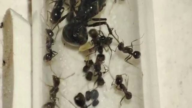 Второй день