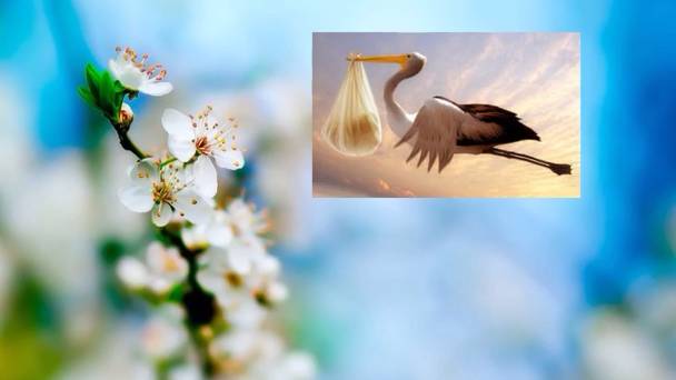 Е.Дога_Сонет_ч. 2_Наталья Иванова_Юбилей 55-75_сан. Жемчужина Моря_28 янв 2024 г.