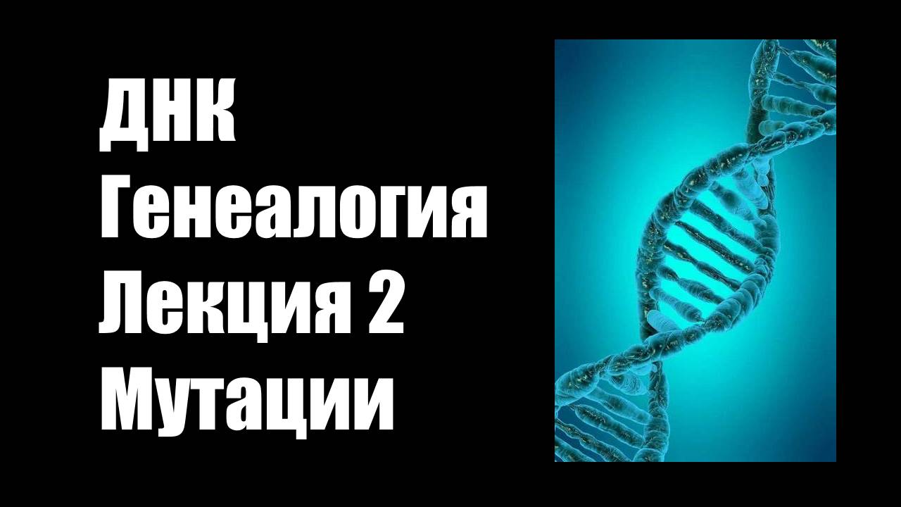 ДНК Генеалогия: Лекция 2 - Мутаций в Y-хромосоме, Мутации в гаплотипах, Снип и Стир Мутации