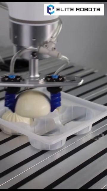 Elite_Robots_EC66_pick_&_place_of_Chinese_baozi_stuffed_buns_with (укладка зефира в корекс)
