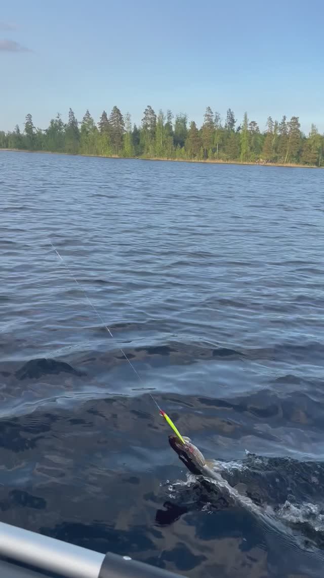 У ЩУКИ НАЧАЛСЯ ЖОР!!!