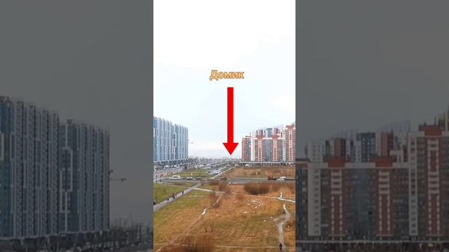 Zeiss Harpia 95mm c астро окуляром Tele Vue #shorts