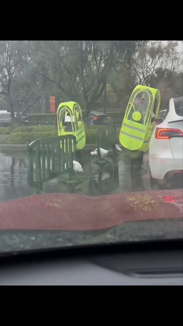 ГИБДД с выдал новую форму в дождливую погоду