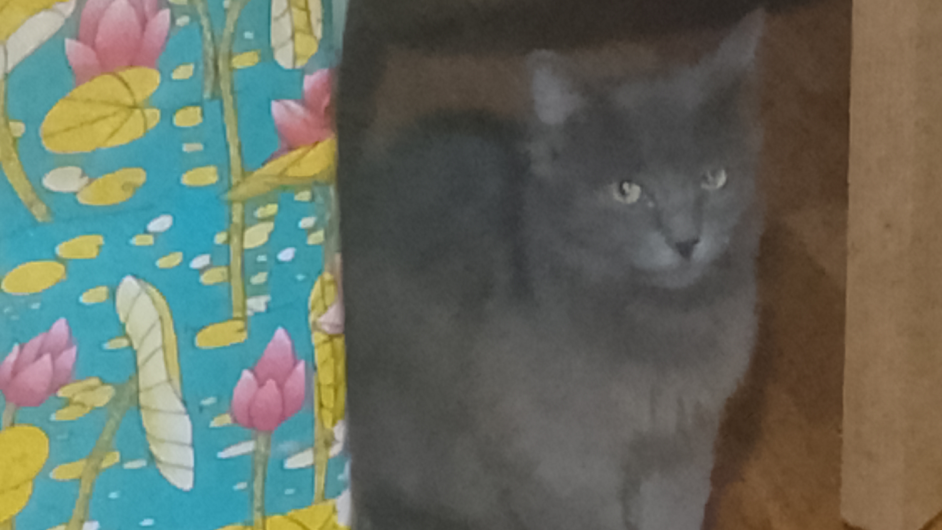 Типичное моё утреннее чаепитие