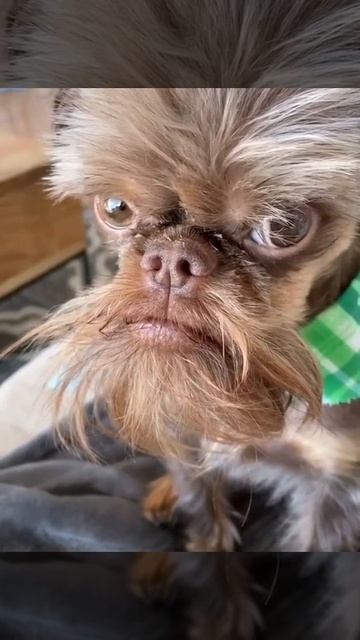 Тот самый кореш, который считает, что борода делает его брутальным