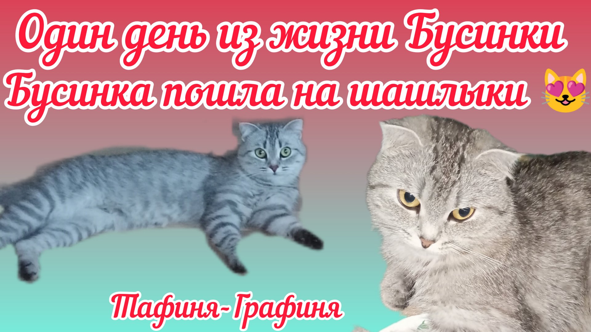 😻 Бусюша жарит шашлык 😻