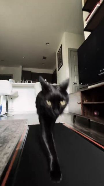 Правильная тренировка)))