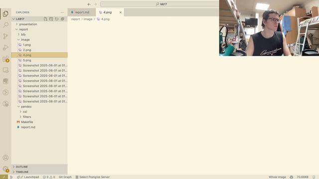 Отчет по лабораторной работе №17 "Имитационное моделирование"