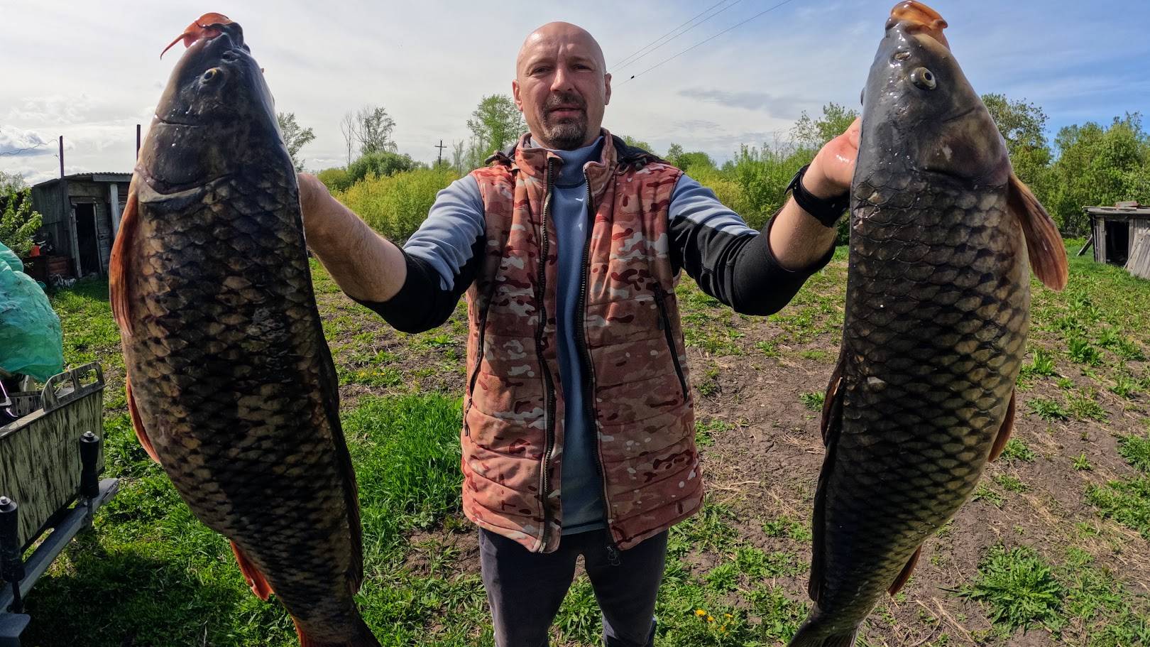 Рыбалка на паук ТОННЫ САЗАНА В ТРУБЕ или как я засадил ниву. Рыбалка 2025. Рыбалка на подъемник.