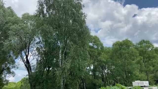 Пение птиц из деревни, где я провела все свои школьные каникулы 01июня 2025