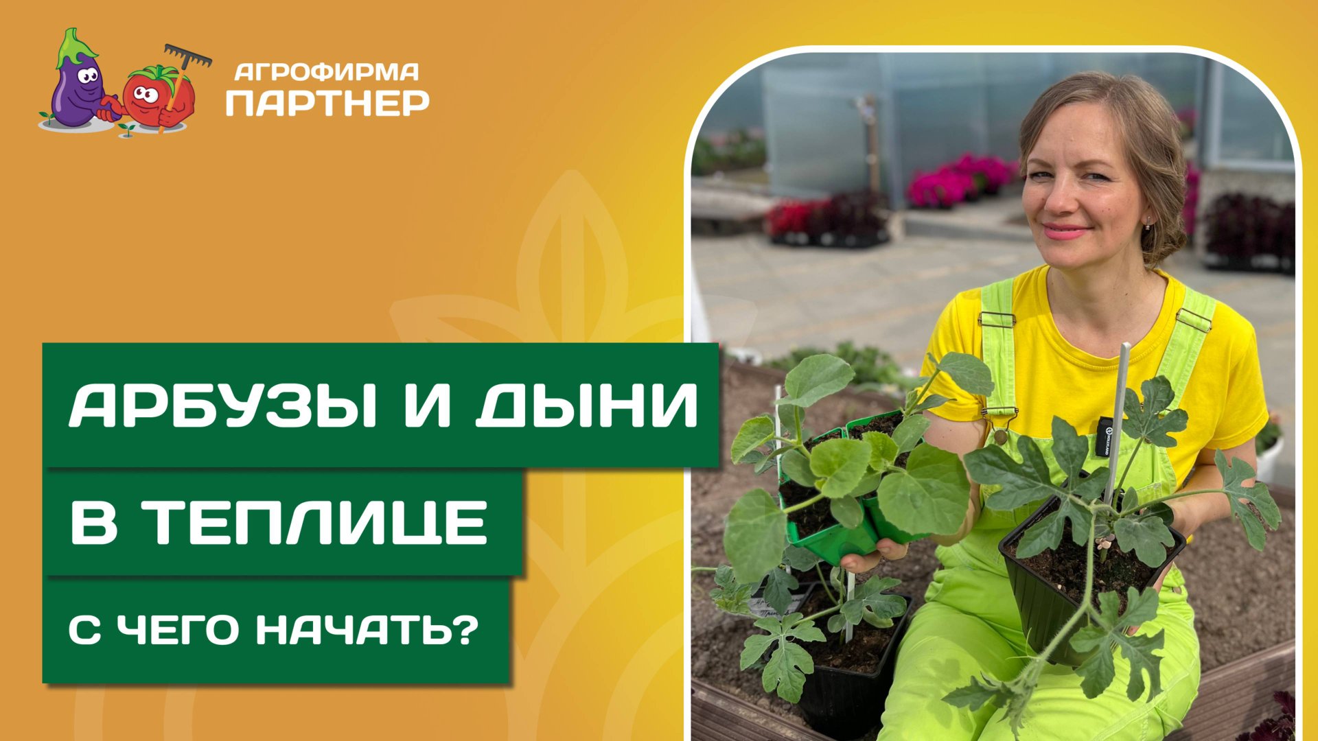 КАК ВЫСАДИТЬ АРБУЗЫ И ДЫНИ В ТЕПЛИЦУ? // Секрет богатого урожая