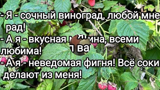 🤣Смешные анекдоты о растениях 🤣Юмор😉Позитив🙂